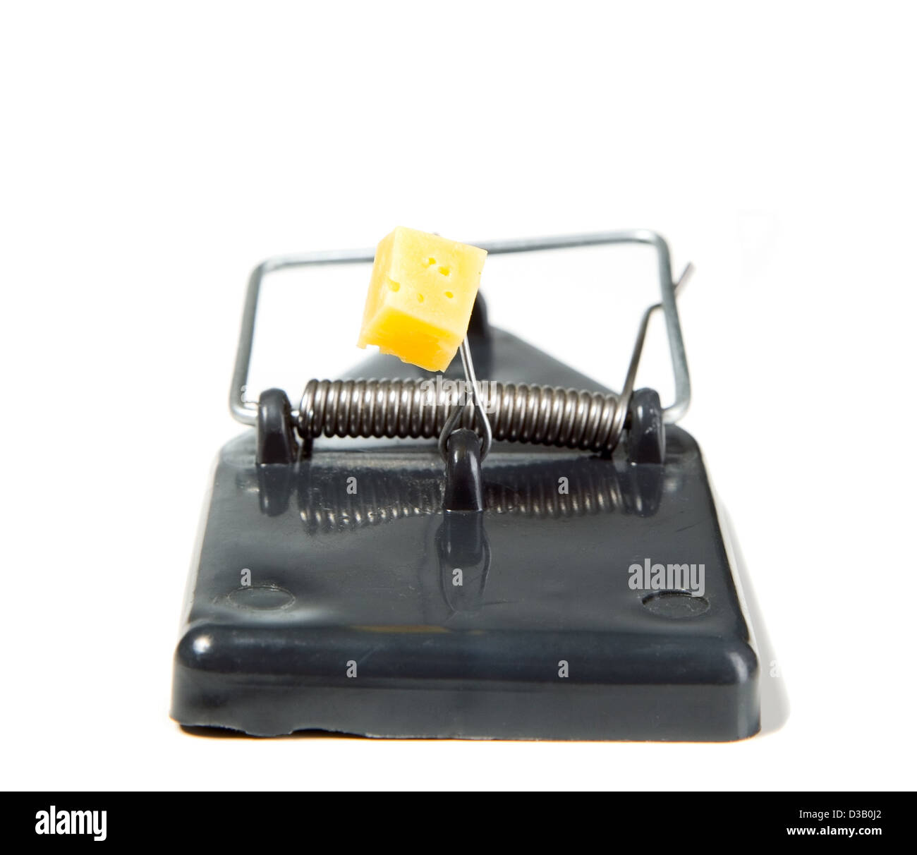 A mouse trap with cheese on it Stock Photo - Alamy