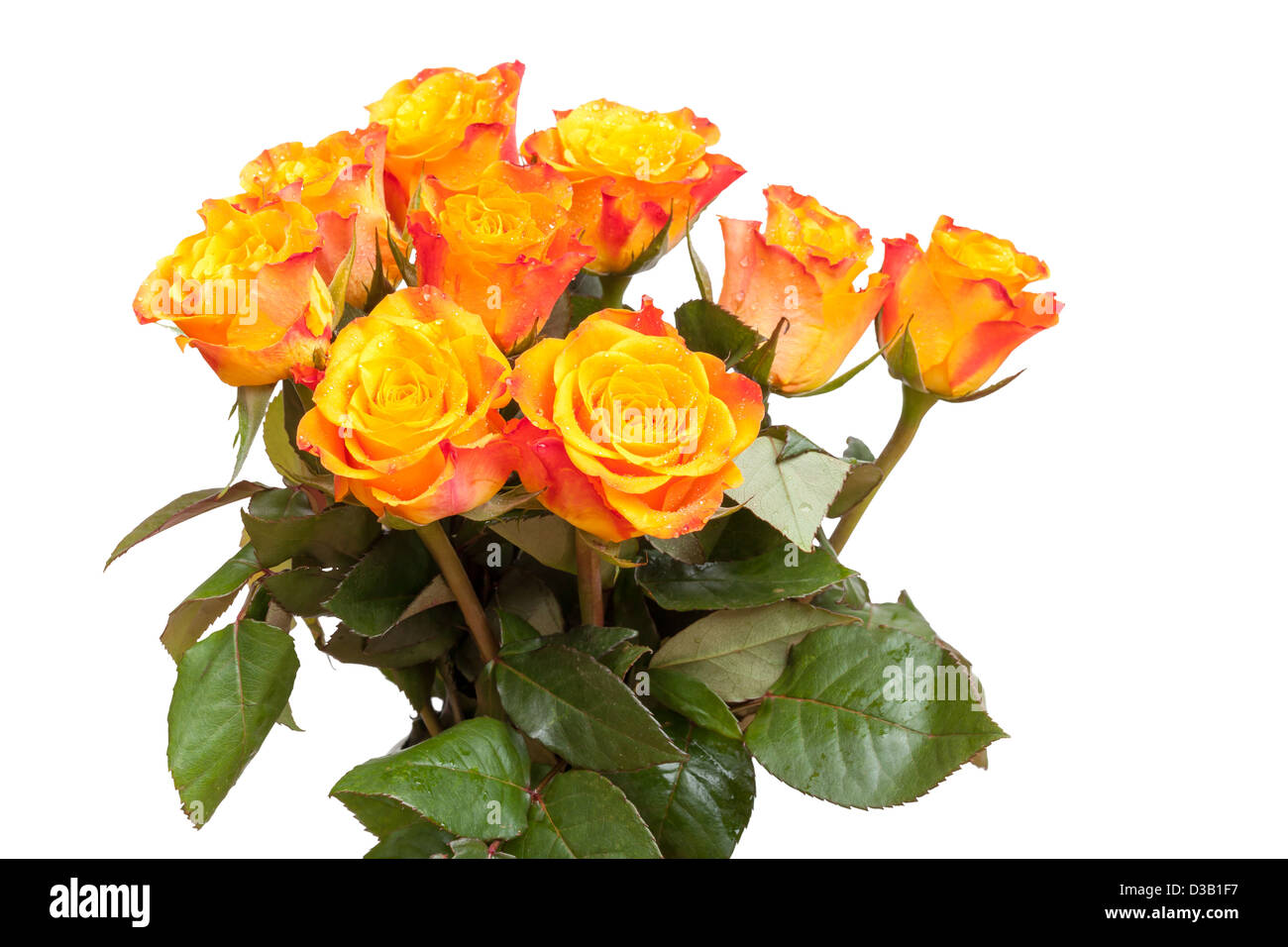 Yellow Roses With Red Tips Bouquet