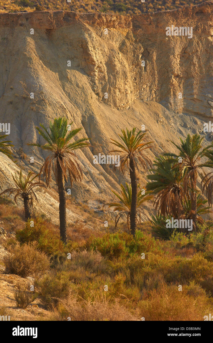 Tabernas Desert Natural Park, Tabernas, Almeria Province, Andalusia ...