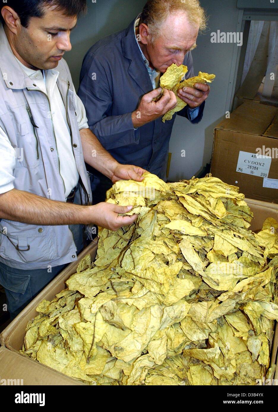 (dpa) - Inspectors of the Bavarian tobacco producer's federation Bayern ...