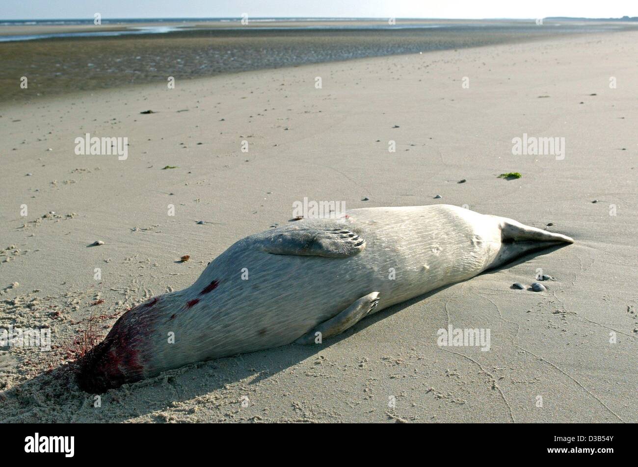 Pdv virus hi-res stock photography and images - Alamy