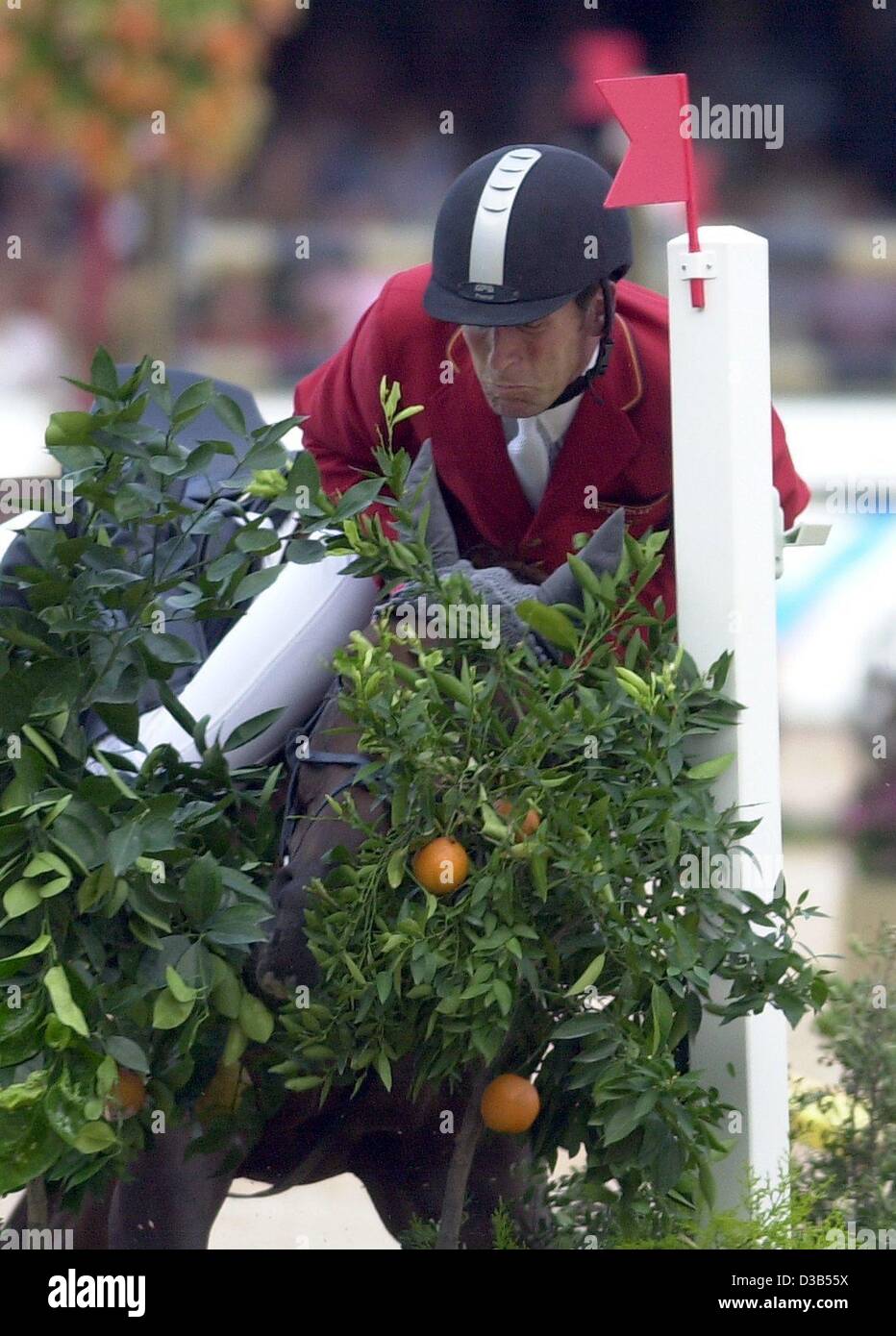 (dpa) - German rider Ludger Beerbaum precipitates into an obstacle ...