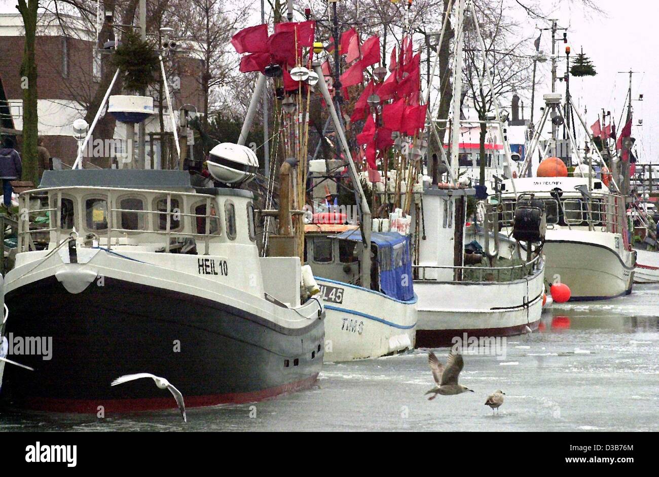 (dpa) - Fish cutters lie in the frozen fishing harbour of Heiligenhafen ...