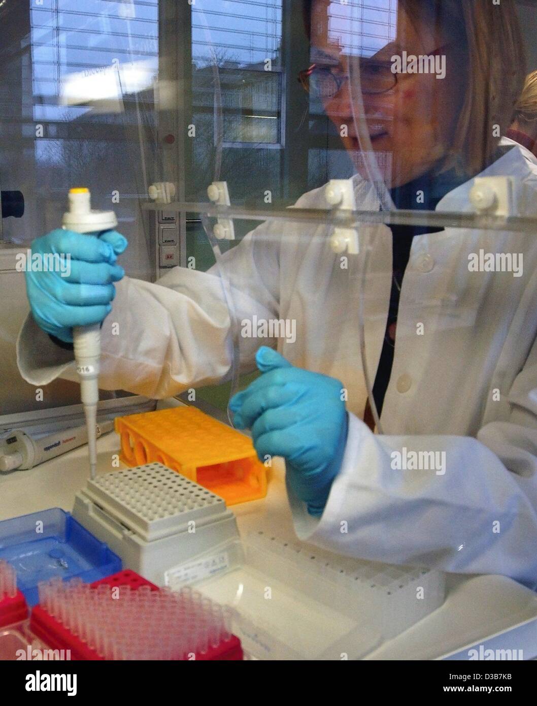 Dna fingerprint samples hi-res stock photography and images - Alamy