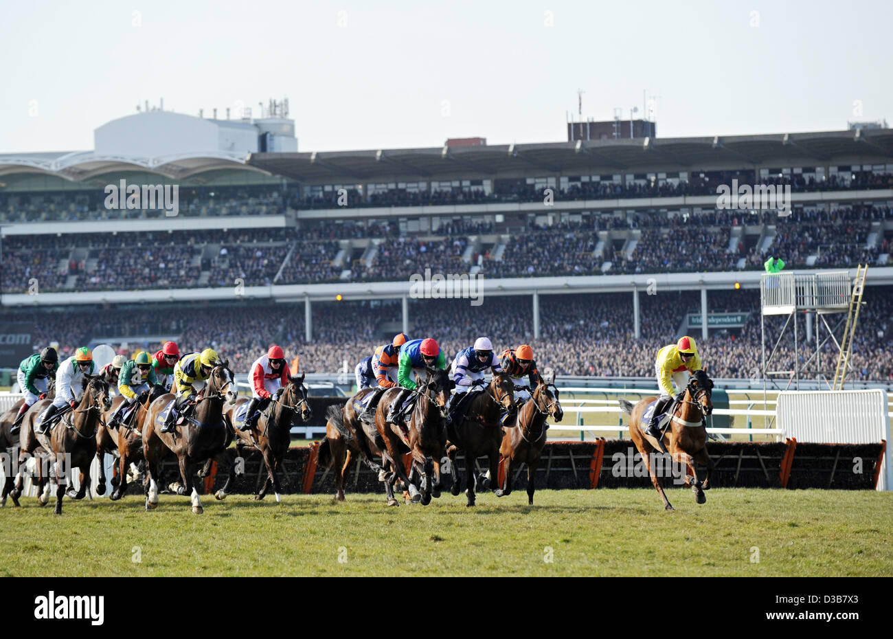Jockeys jump their horses over a fence during The Cheltenham Festival ...