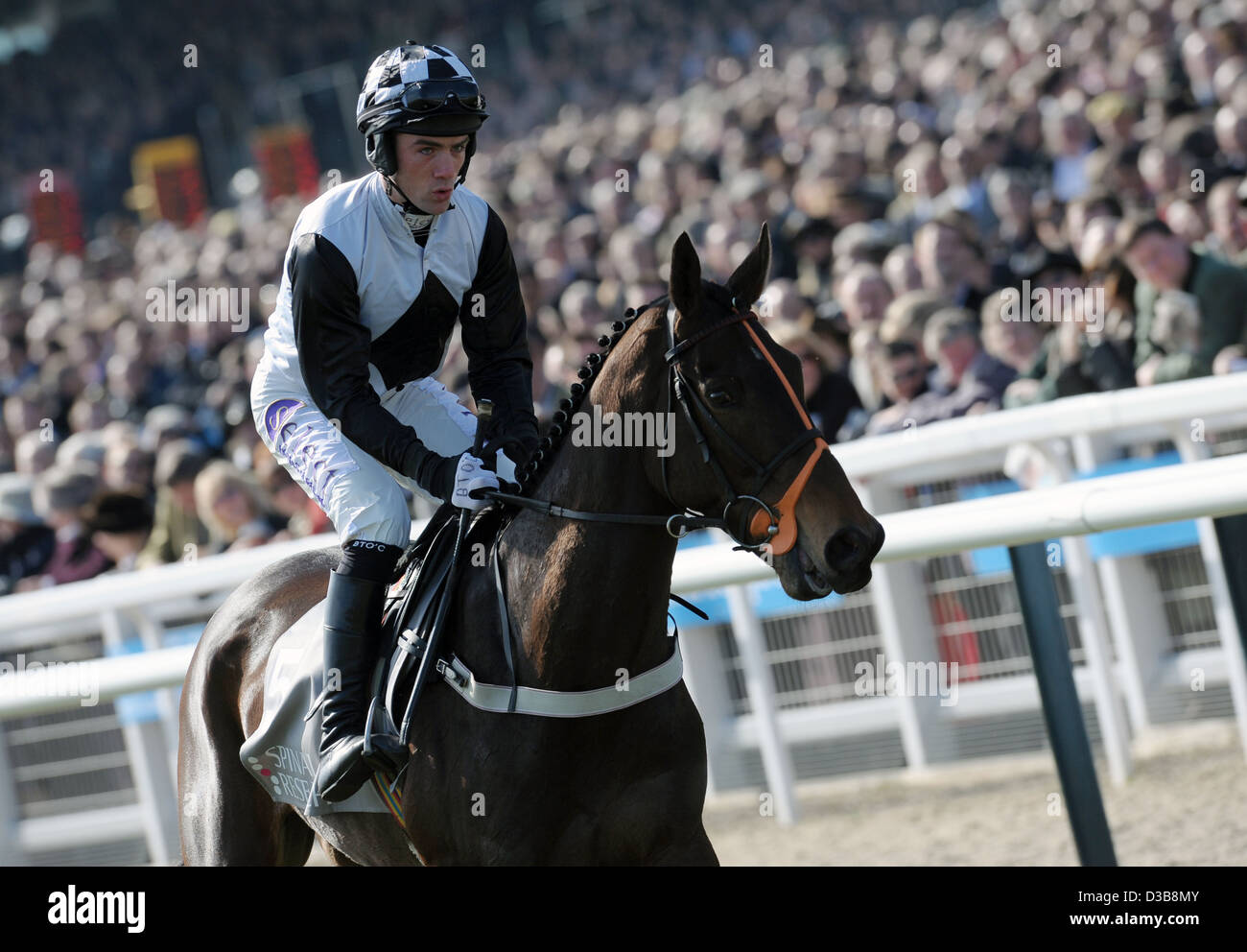 Jockeys jump their horses over a fence during The Cheltenham Festival ...