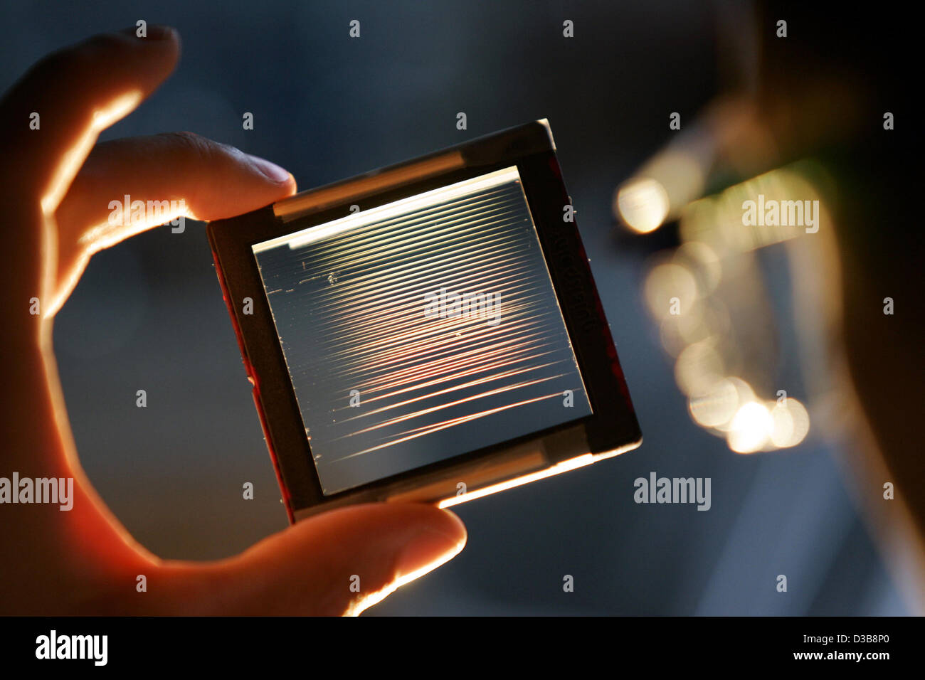 (dpa) - Biochemist Thomas Scheibel from the Technical University Munich ...