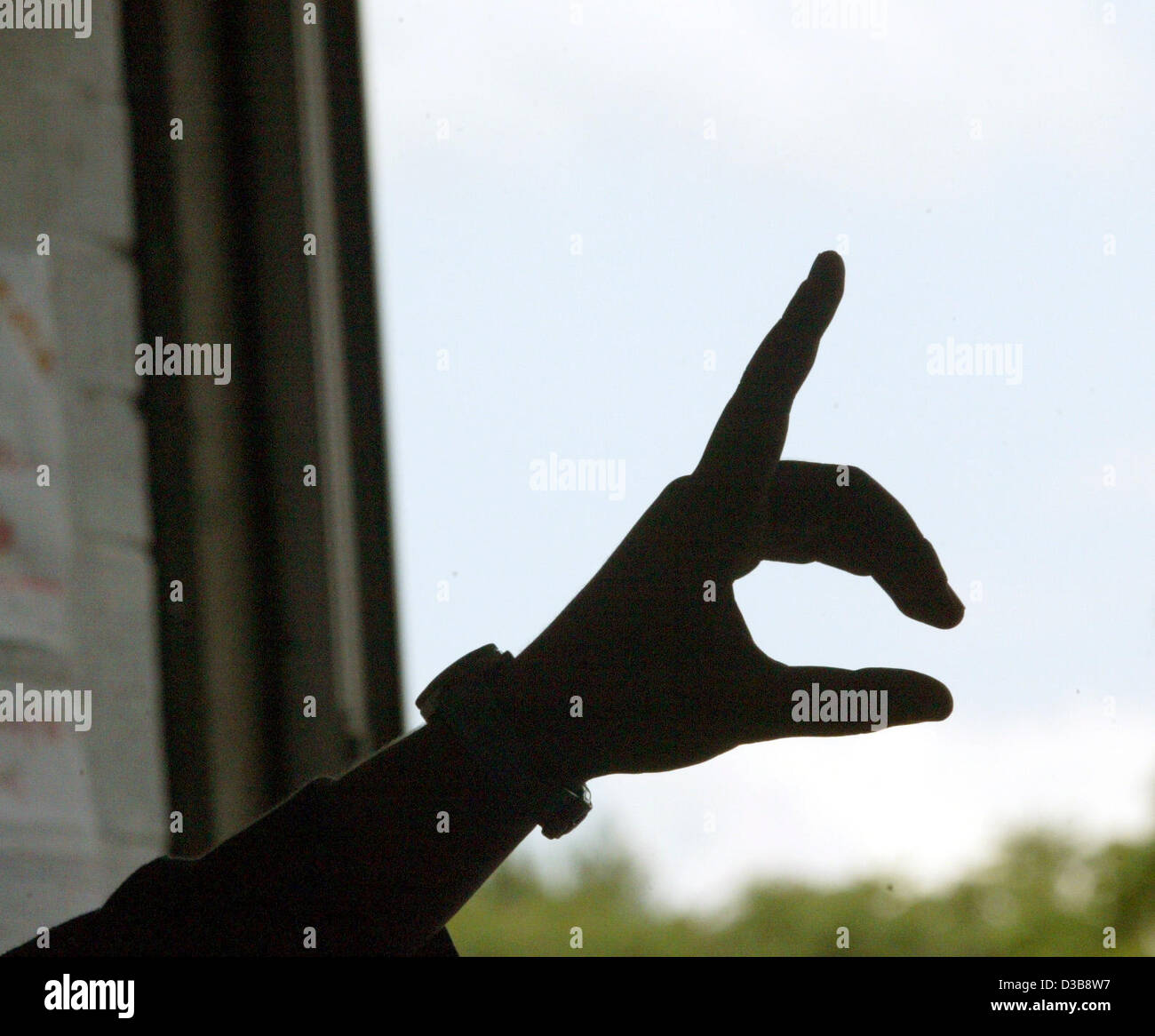 (dpa) - A student's finger is in the air to indicate the request to ...