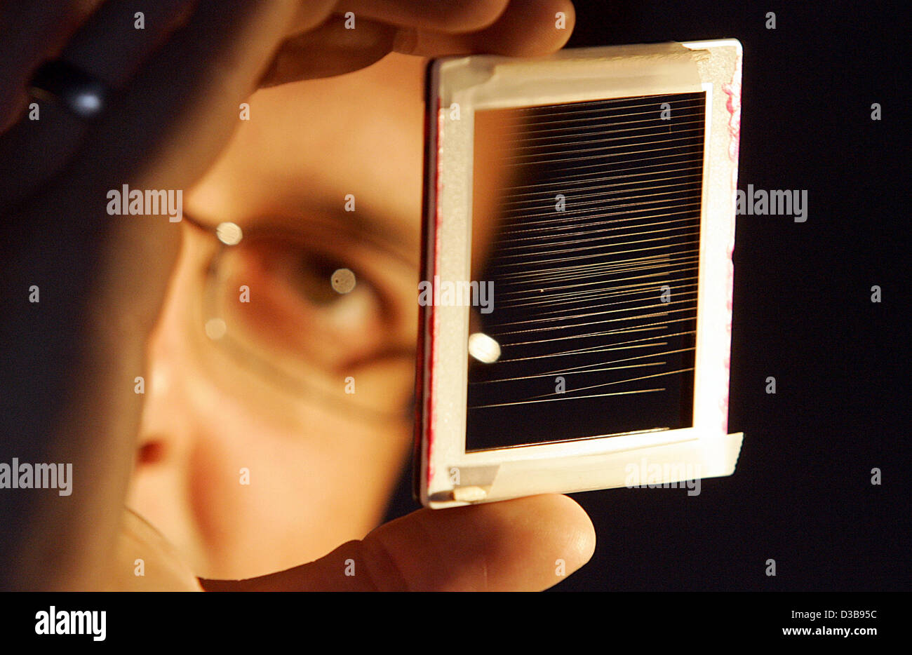 (dpa) - Biochemist Thomas Scheibel from the Technical University Munich ...
