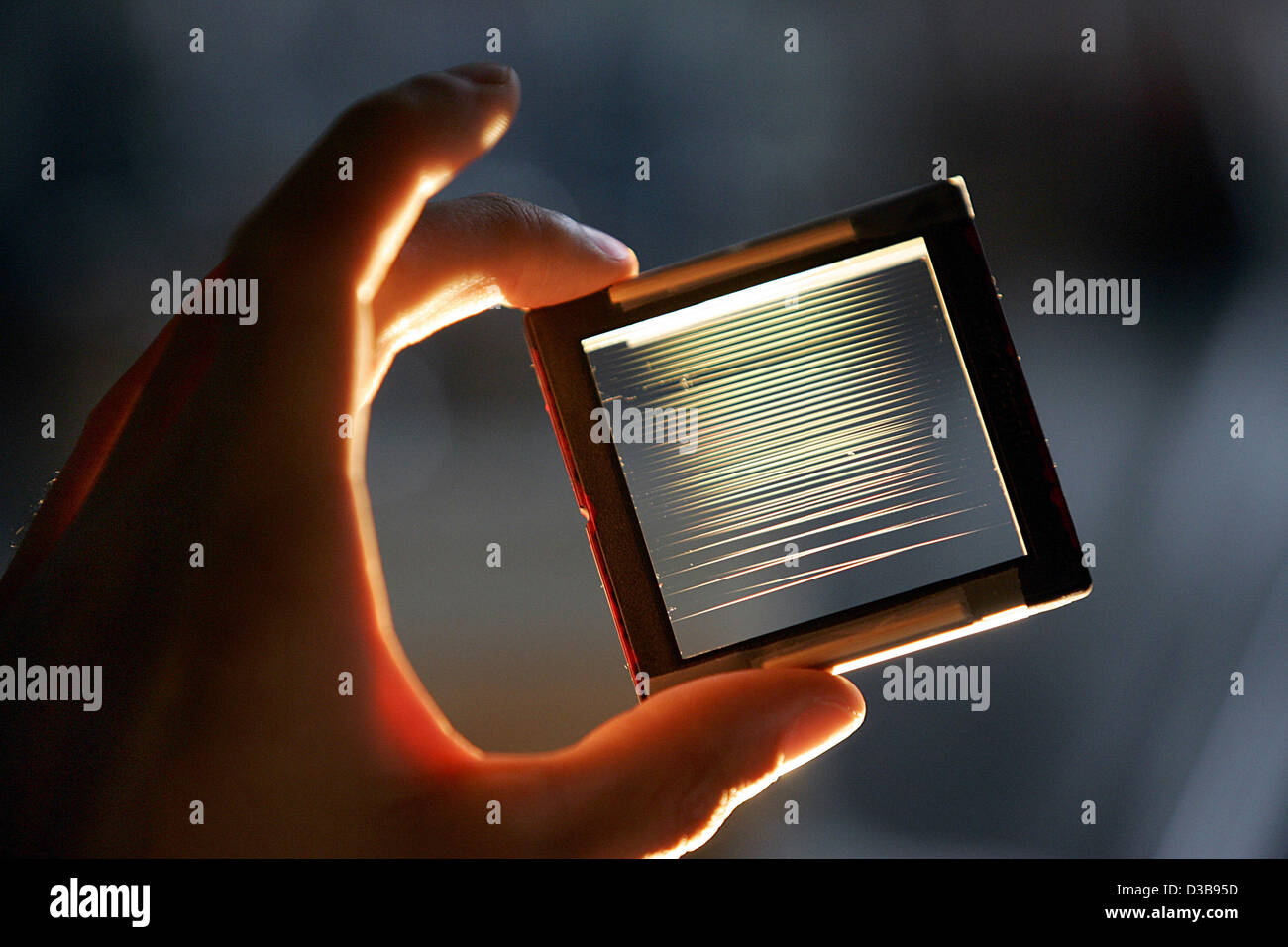 (dpa) - Biochemist Thomas Scheibel from the Technical University Munich ...
