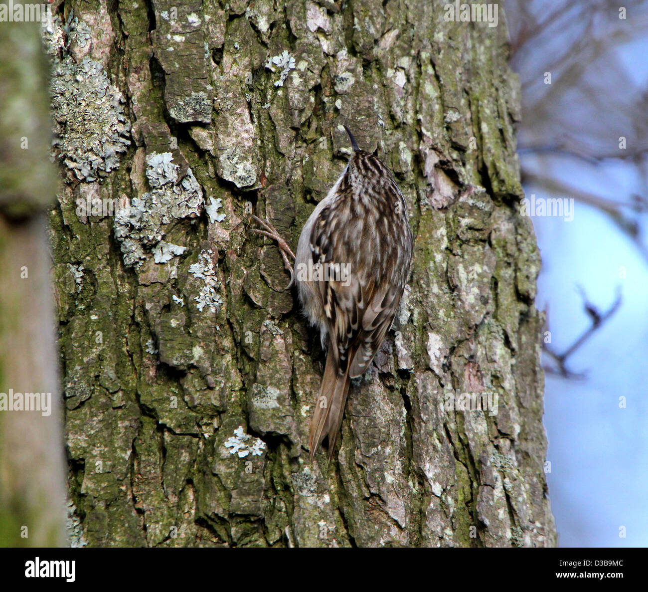 Inspecting snacks hi-res stock photography and images - Alamy