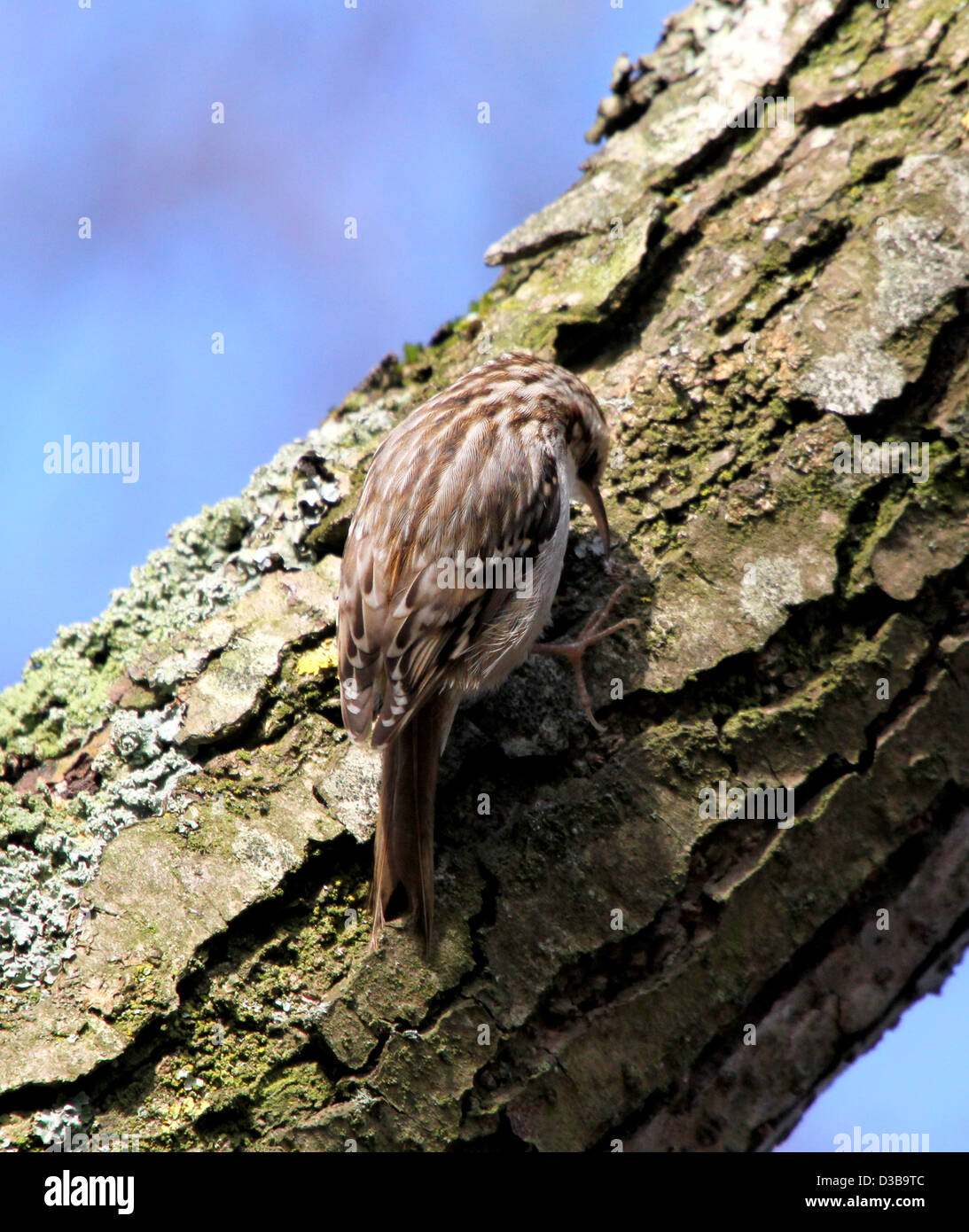 Inspecting snacks hi-res stock photography and images - Alamy