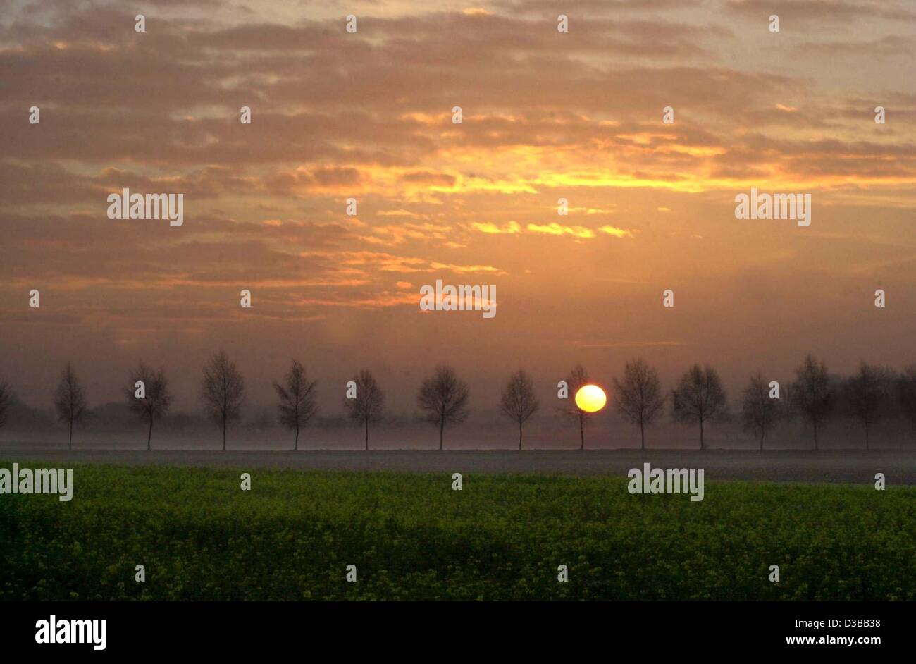 Fog behind hi-res stock photography and images - Alamy