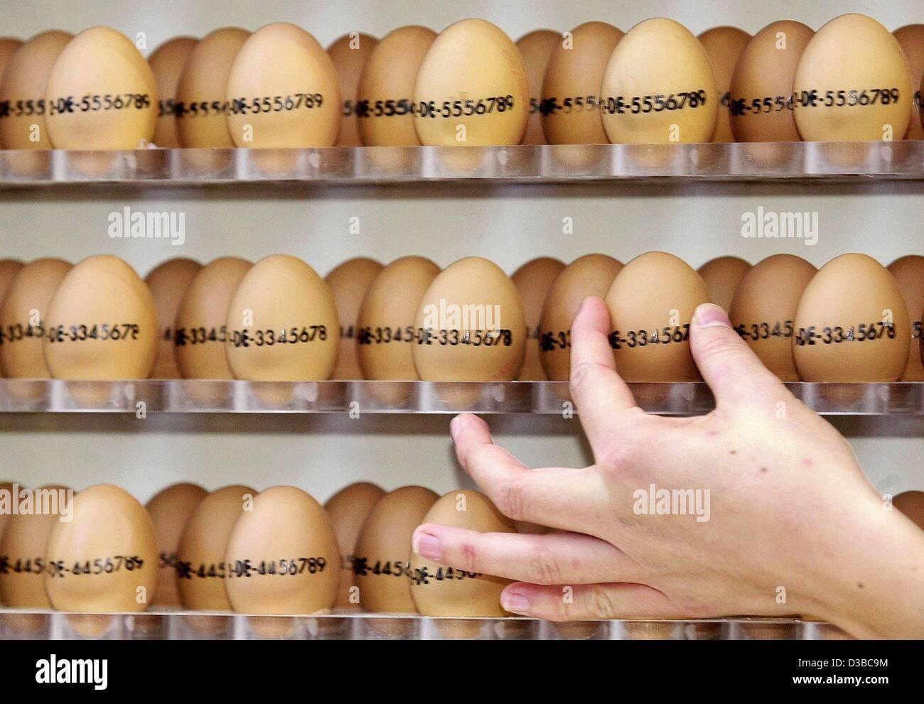 (dpa) - A hand reaches for an egg with the new number code in an ...
