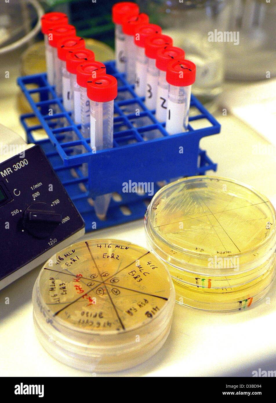 Heart cells petri hi-res stock photography and images - Alamy