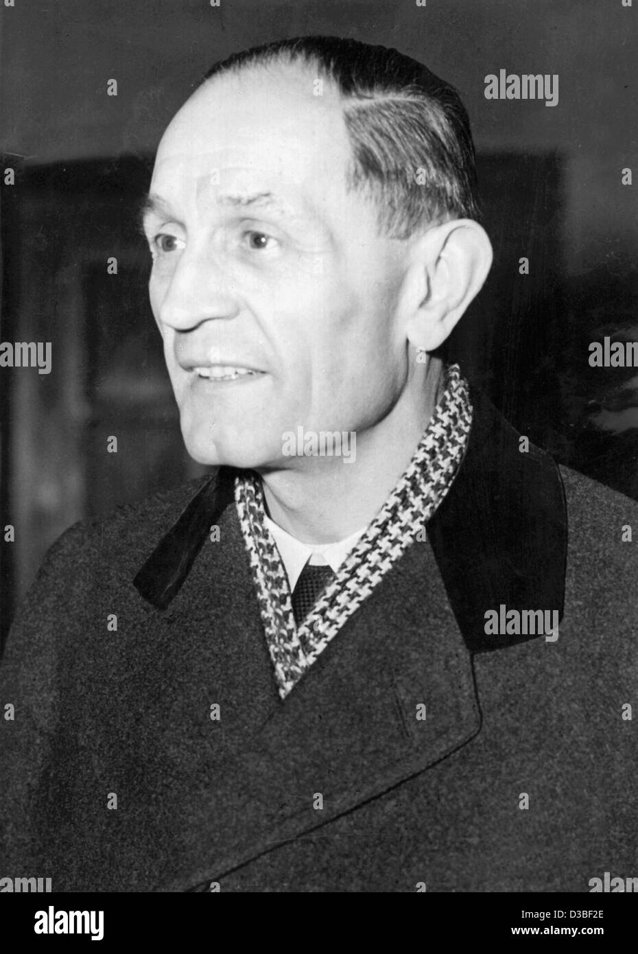 German Pastor High Resolution Stock Photography and Images - Alamy