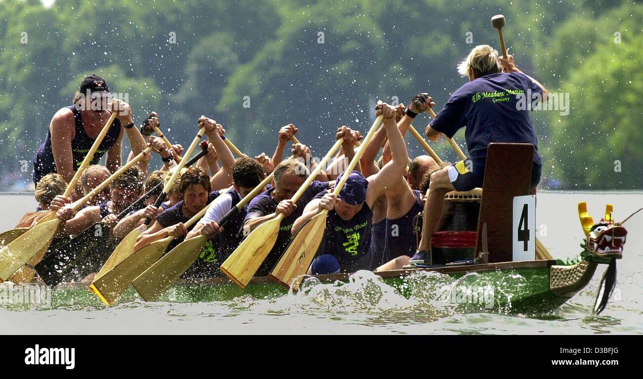 (dpa) - The crew of a dragon boat paddles to the rhythm of the drum and ...