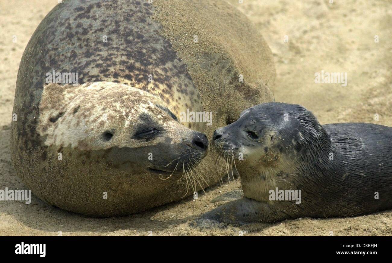 Newborn at 12 hours old hi-res stock photography and images - Alamy
