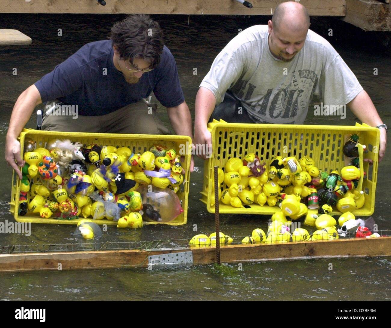 (dpa) - At the start of the traditional duck race the helpers Steve ...