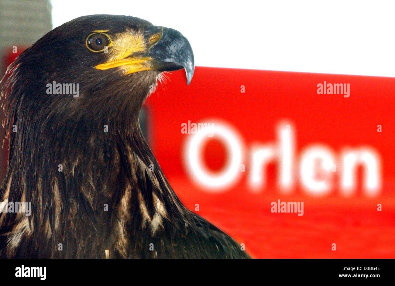 Orlen logo hi-res stock photography and images - Alamy