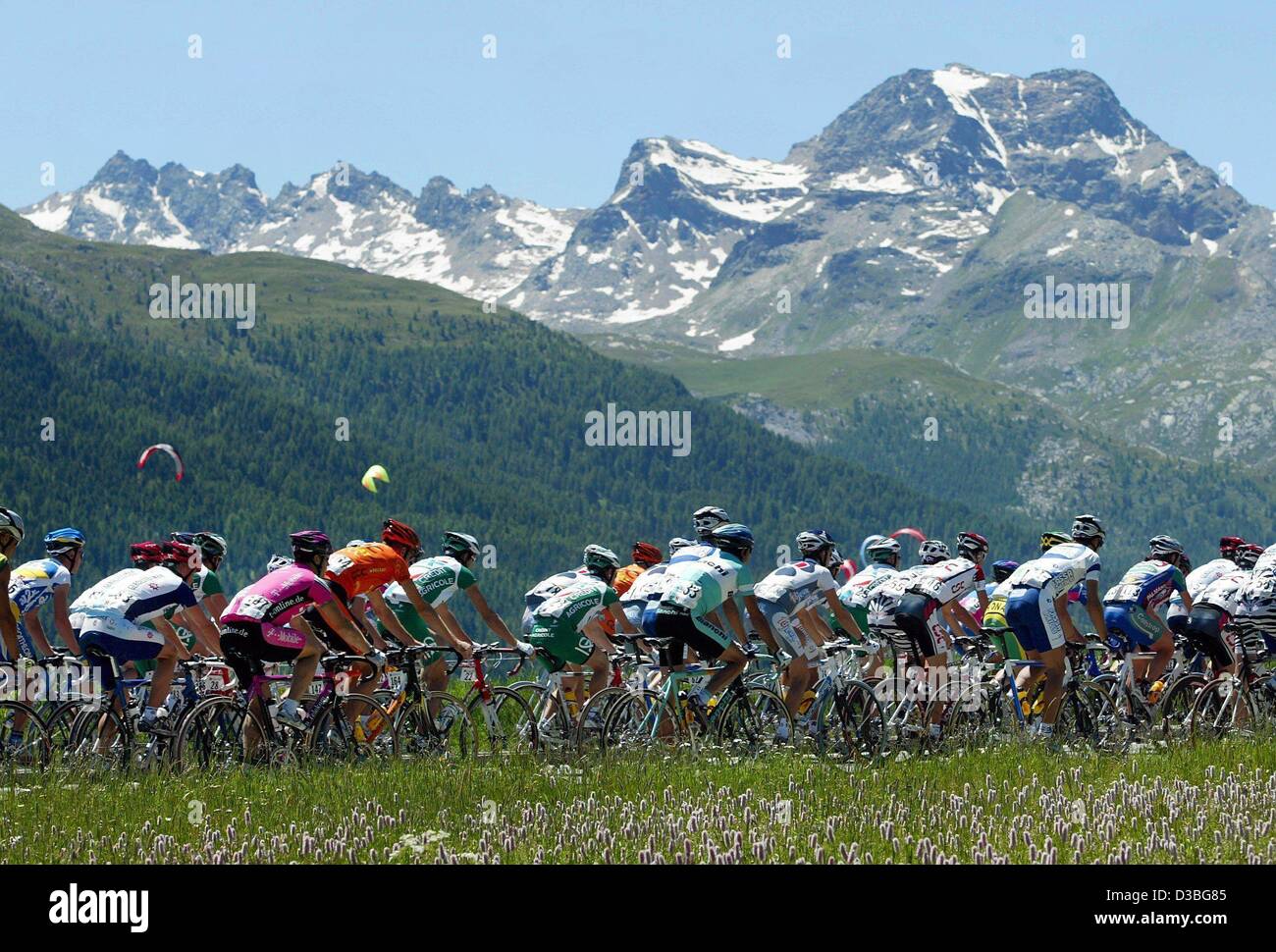 (dpa) - A large group of cyclists ride their bicycles on a country road ...