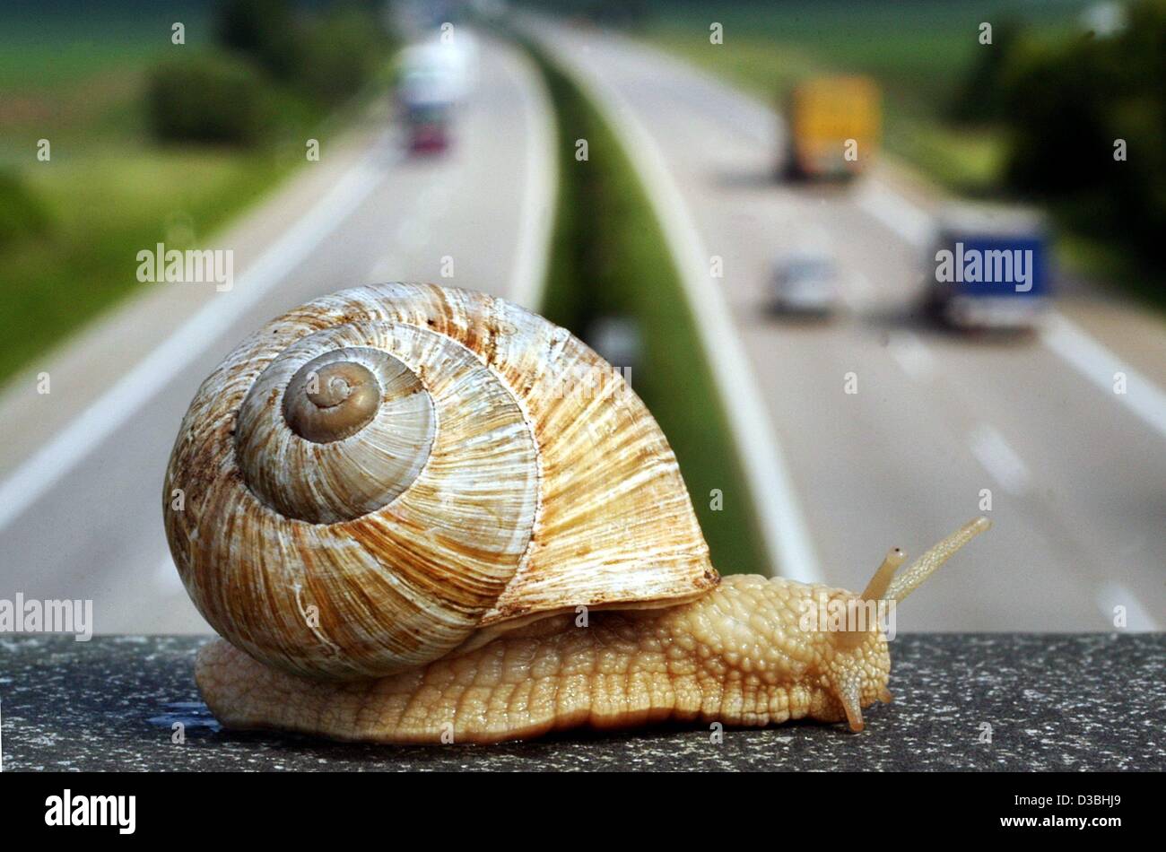 (dpa) - A snail is creeping on a bridge over an autobahn near Hofdorf ...
