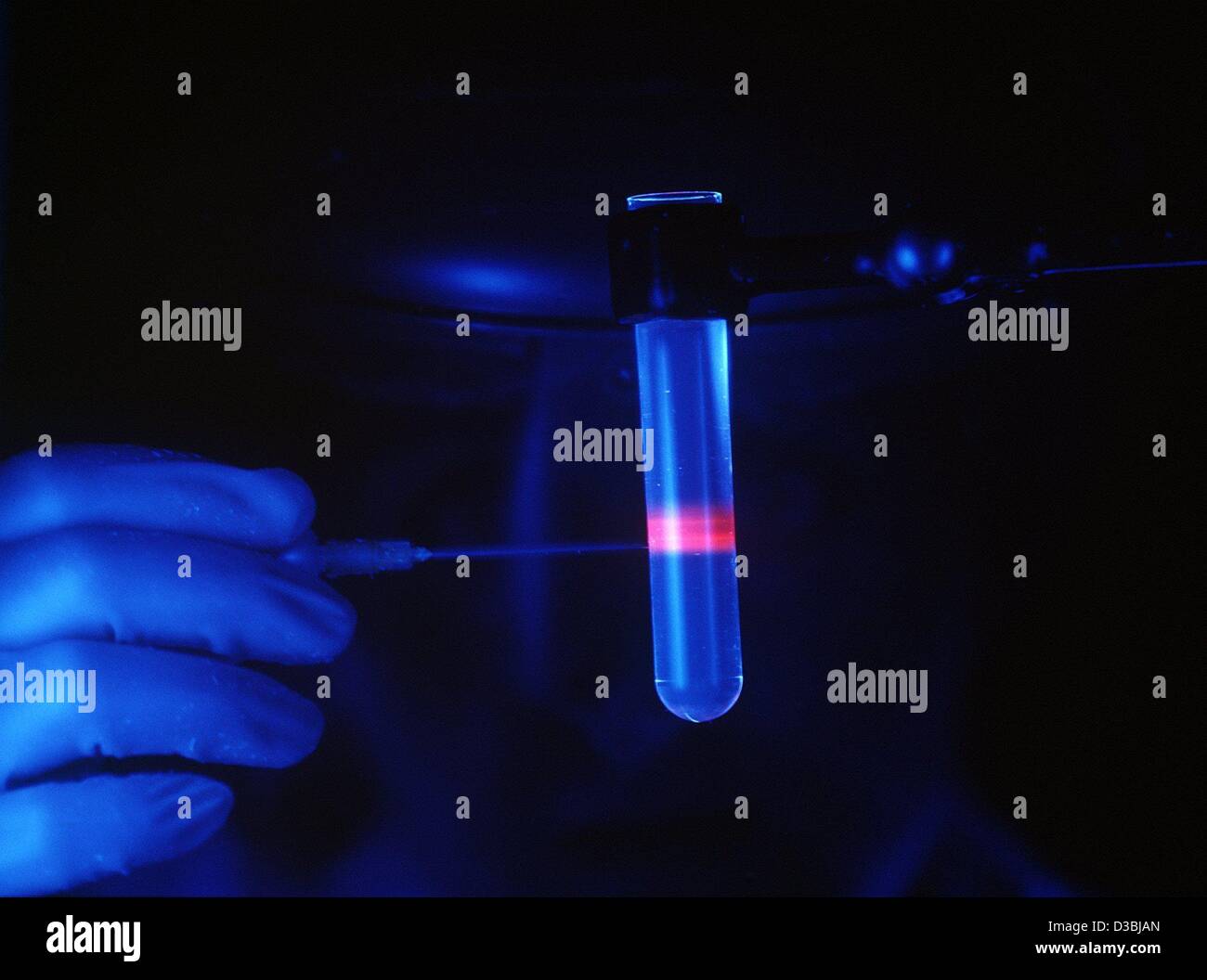 (dpa) - A scientist, immerged in fluorescent blue, light extracts DNA ...