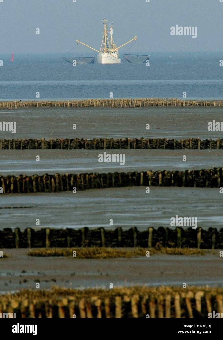 (dpa) - A crab trawler spreads out its nets in order to catch crabs in ...