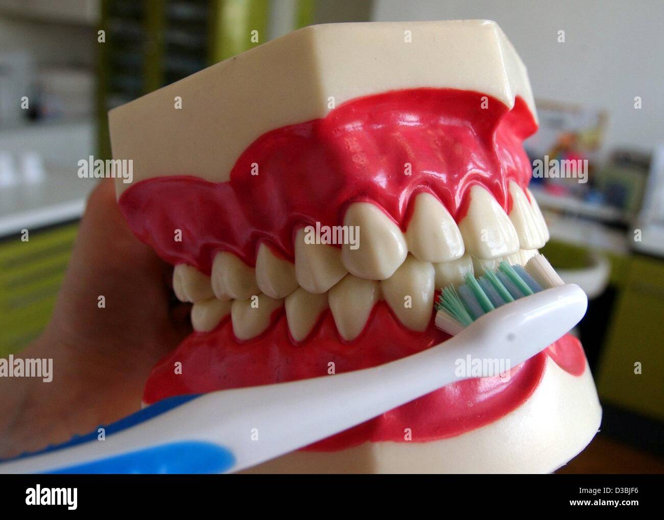(dpa) - A toothbursh moves along a set of artificial dentures ...