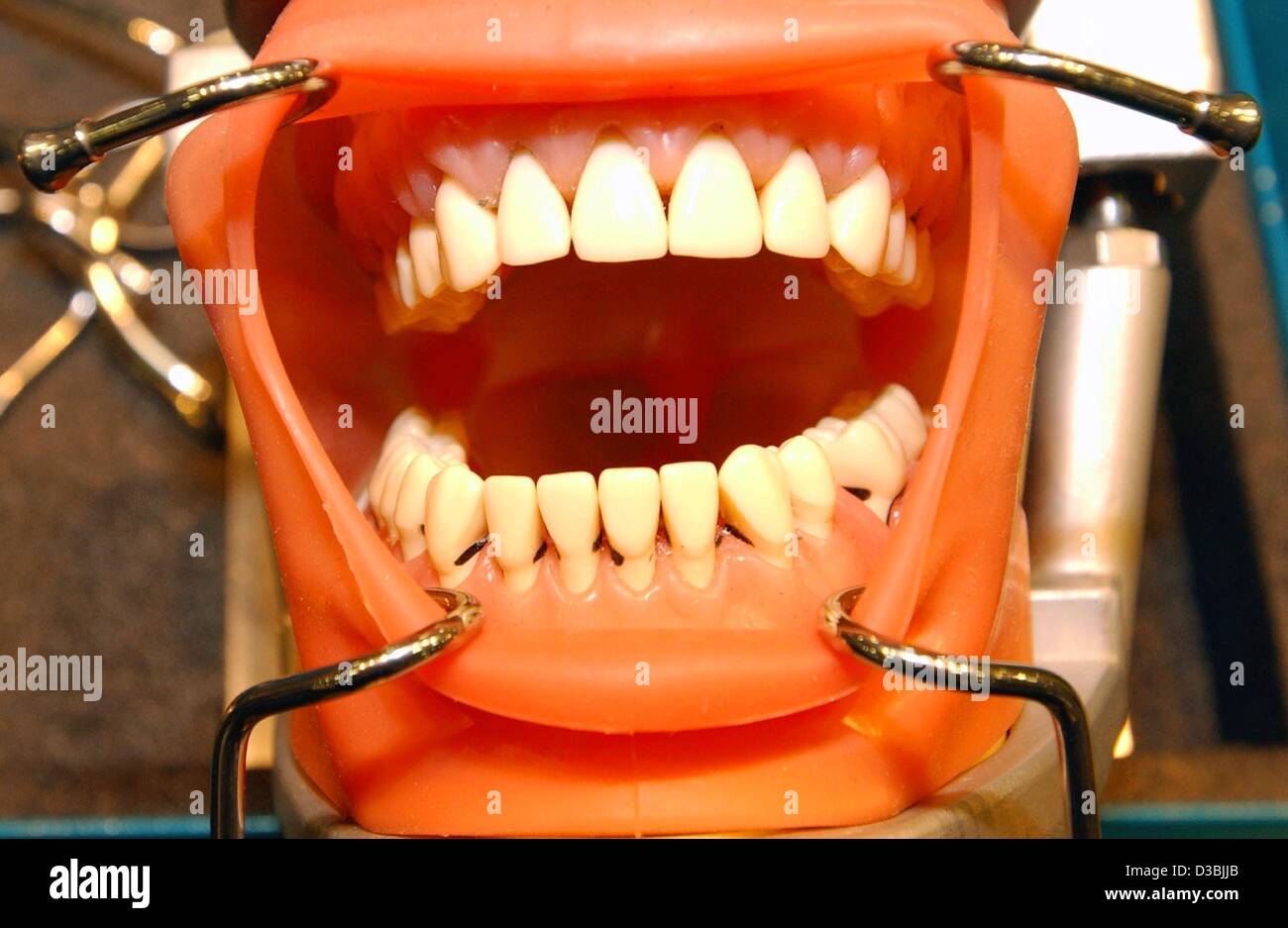 (dpa) - Forceps hold apart the lips of a plastic model of a human ...
