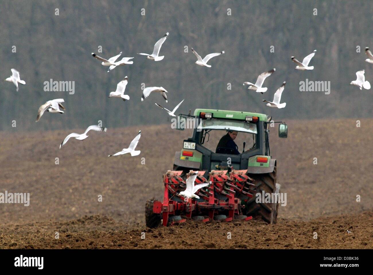 Follow the plough hi-res stock photography and images - Alamy