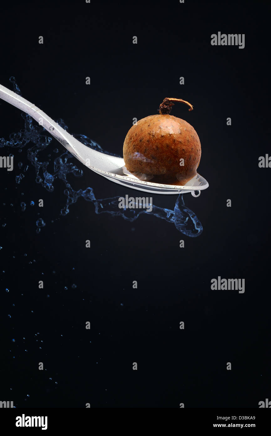 Teaspoon with longan fruit and dripping natural mineral water in black ...
