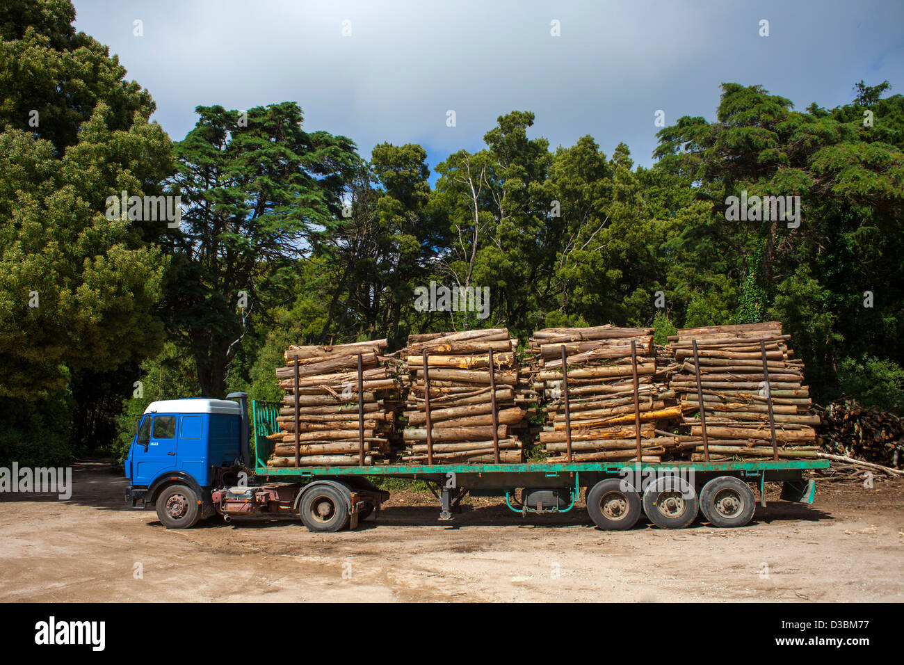 Truck transporting timber Stock Photo - Alamy