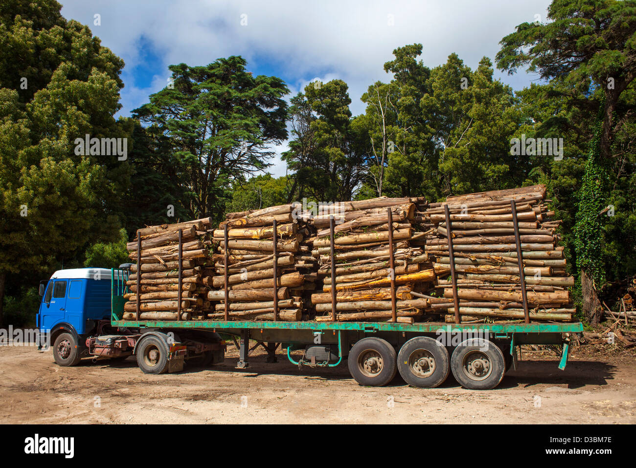 Truck transporting timber Stock Photo - Alamy
