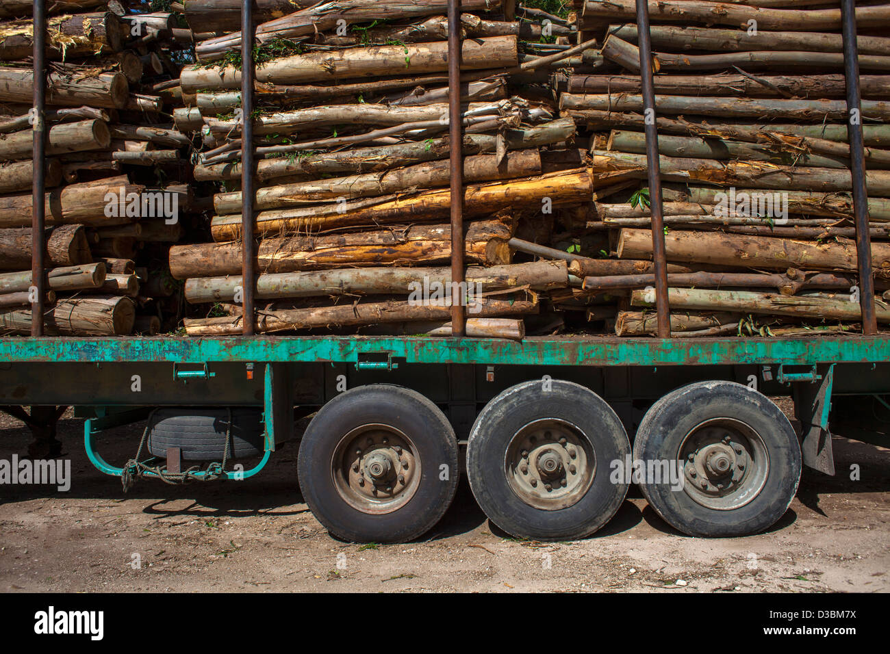Truck transporting timber Stock Photo - Alamy