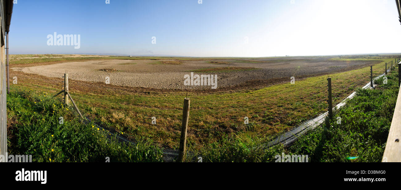 Elmley reserve hi-res stock photography and images - Alamy