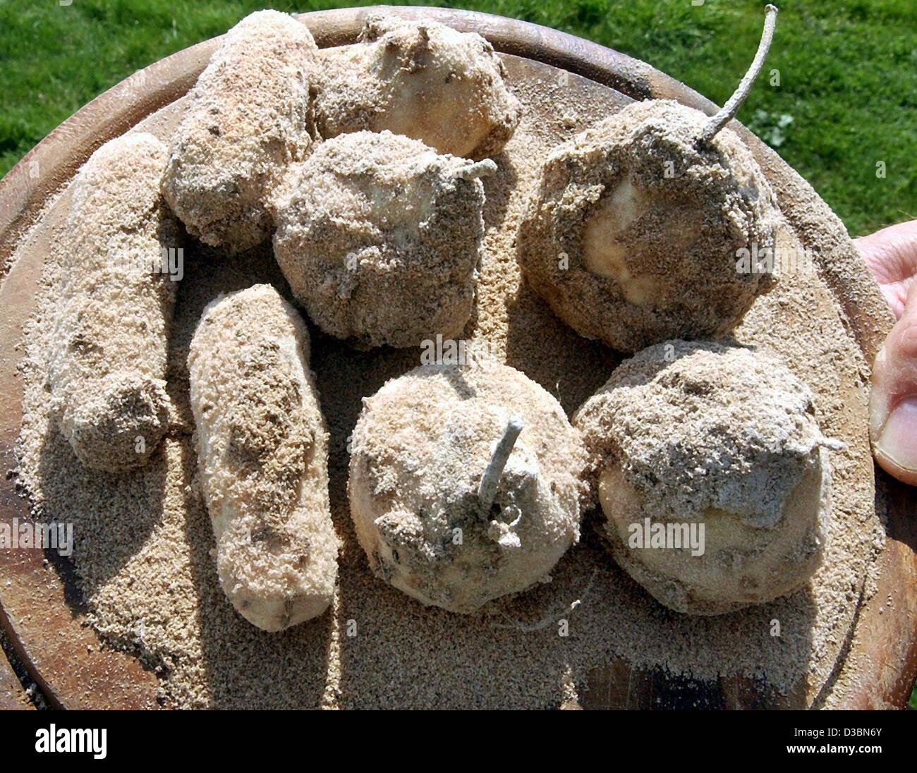 Mite cheese hi-res stock photography and images - Alamy