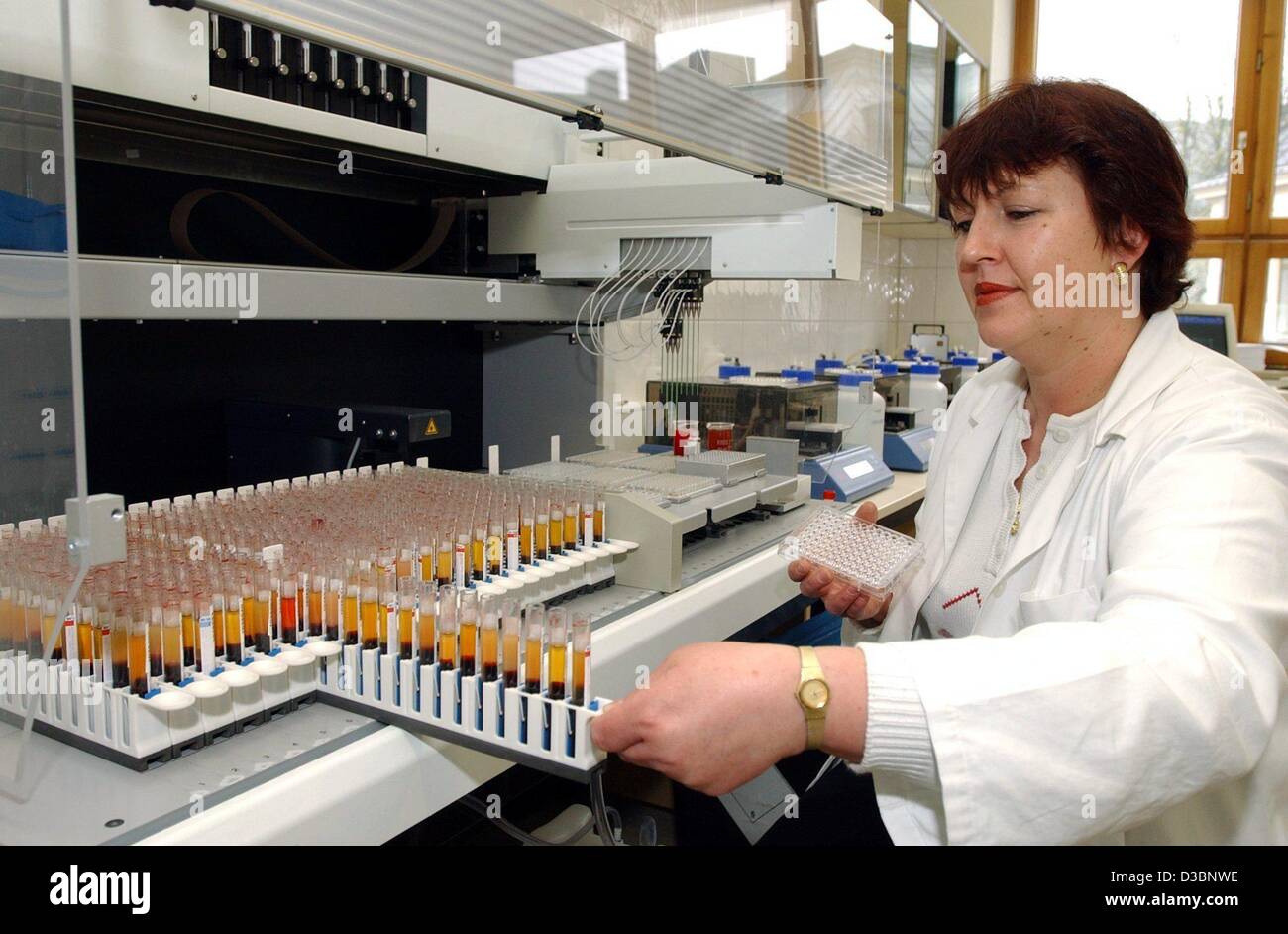 (dpa) - An employee of the Bavarian Red Cross checks on samples of ...