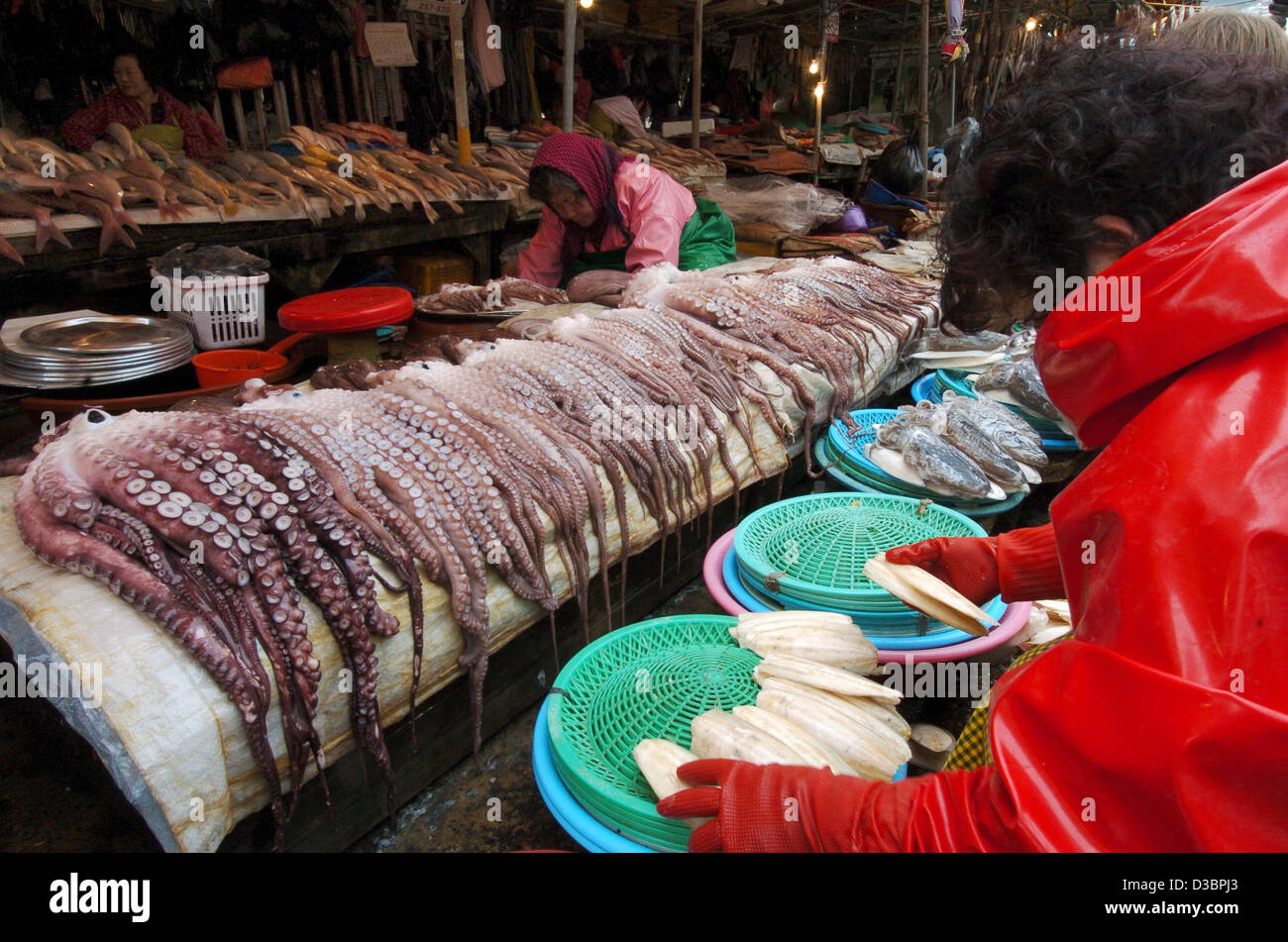 (dpa) - Squid and other seafood are for sale at the fish market in ...