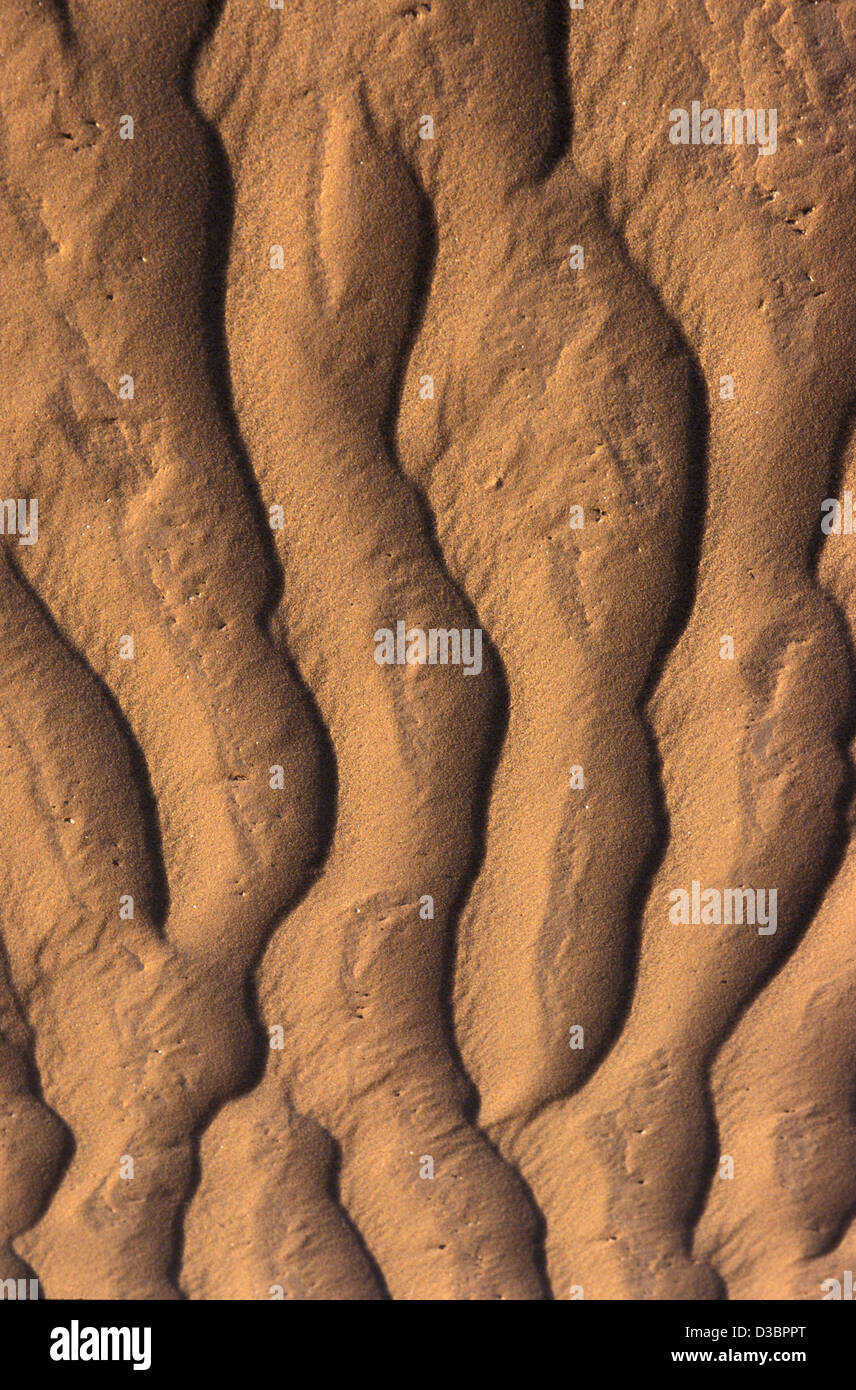 (dpa) - View of a piece of desert featuring patterns created by the ...