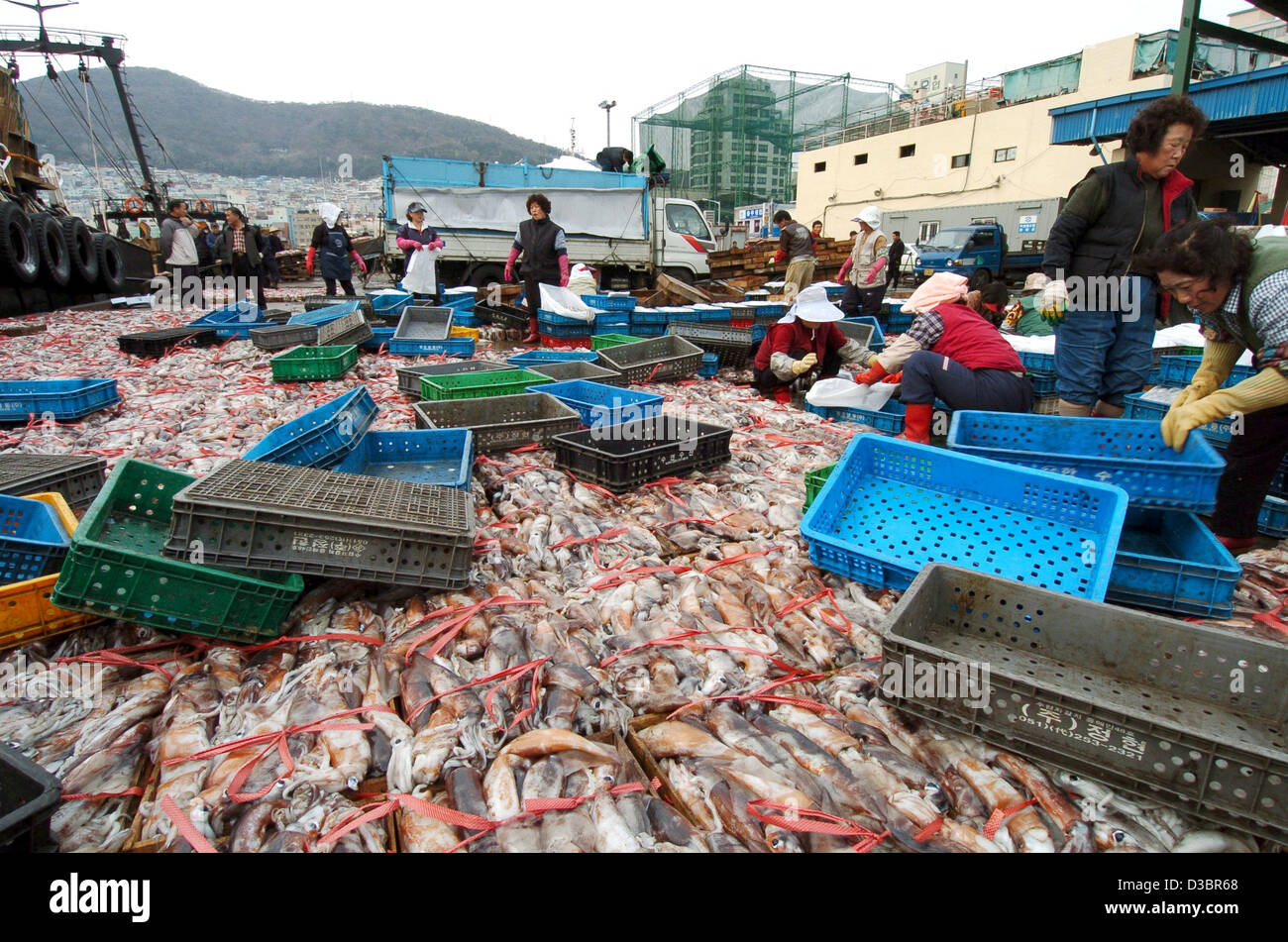 Frish hi-res stock photography and images - Alamy