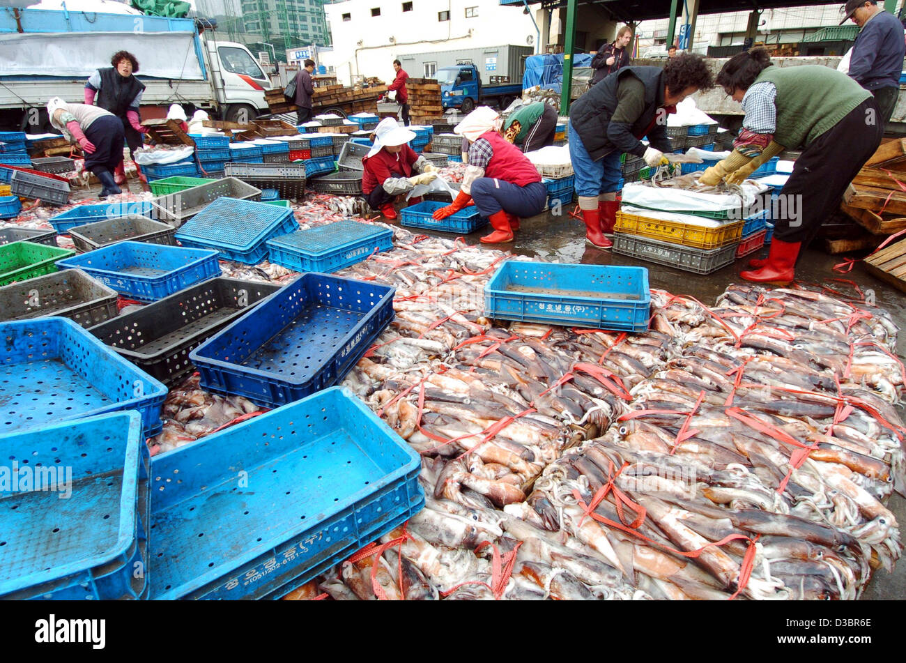 Loads of fish hi-res stock photography and images - Alamy