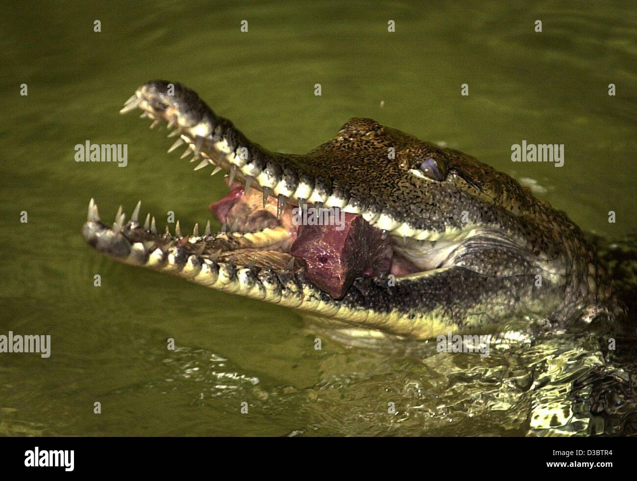 The fifth continent hi-res stock photography and images - Alamy