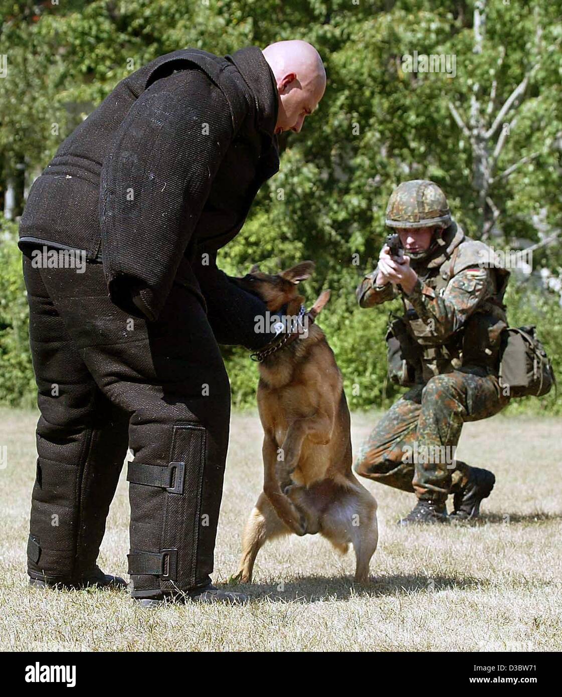 Special forces squad hi-res stock photography and images - Alamy