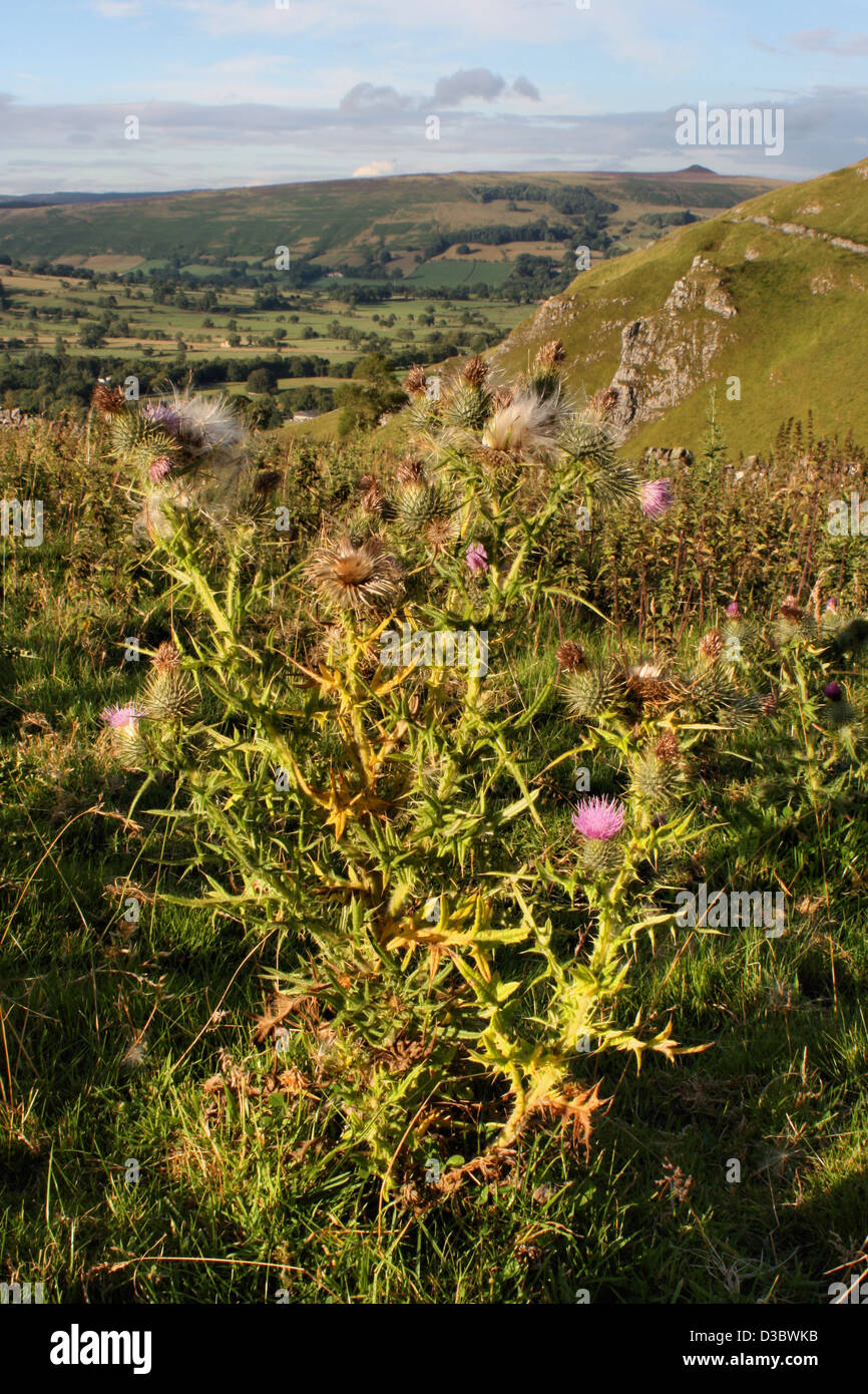 Peveril castle and cave dale gorge above peak cavern in Castleton Stock ...
