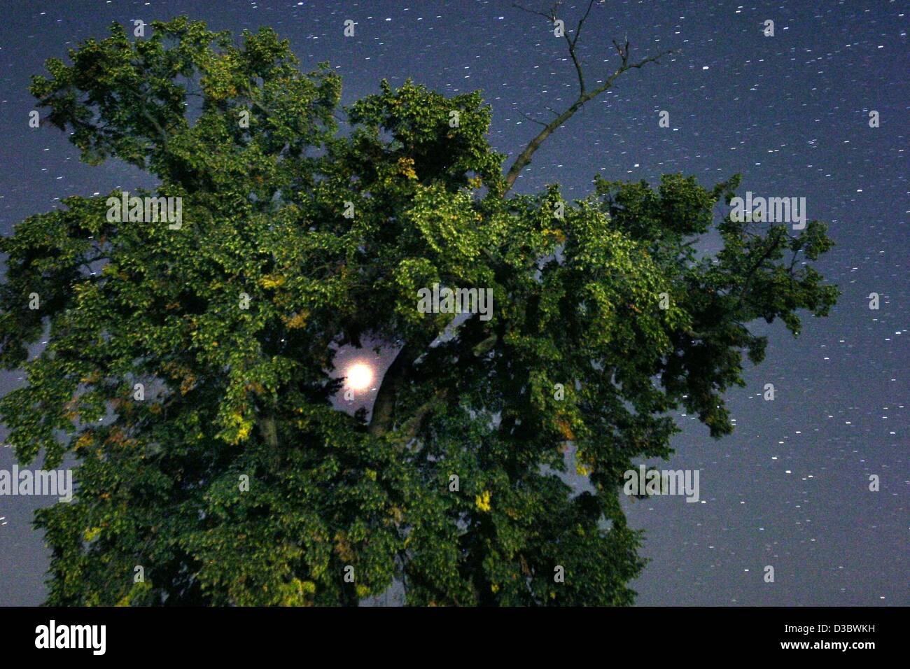 (dpa) - Planet Mars is pictured through the branches of a tree near ...