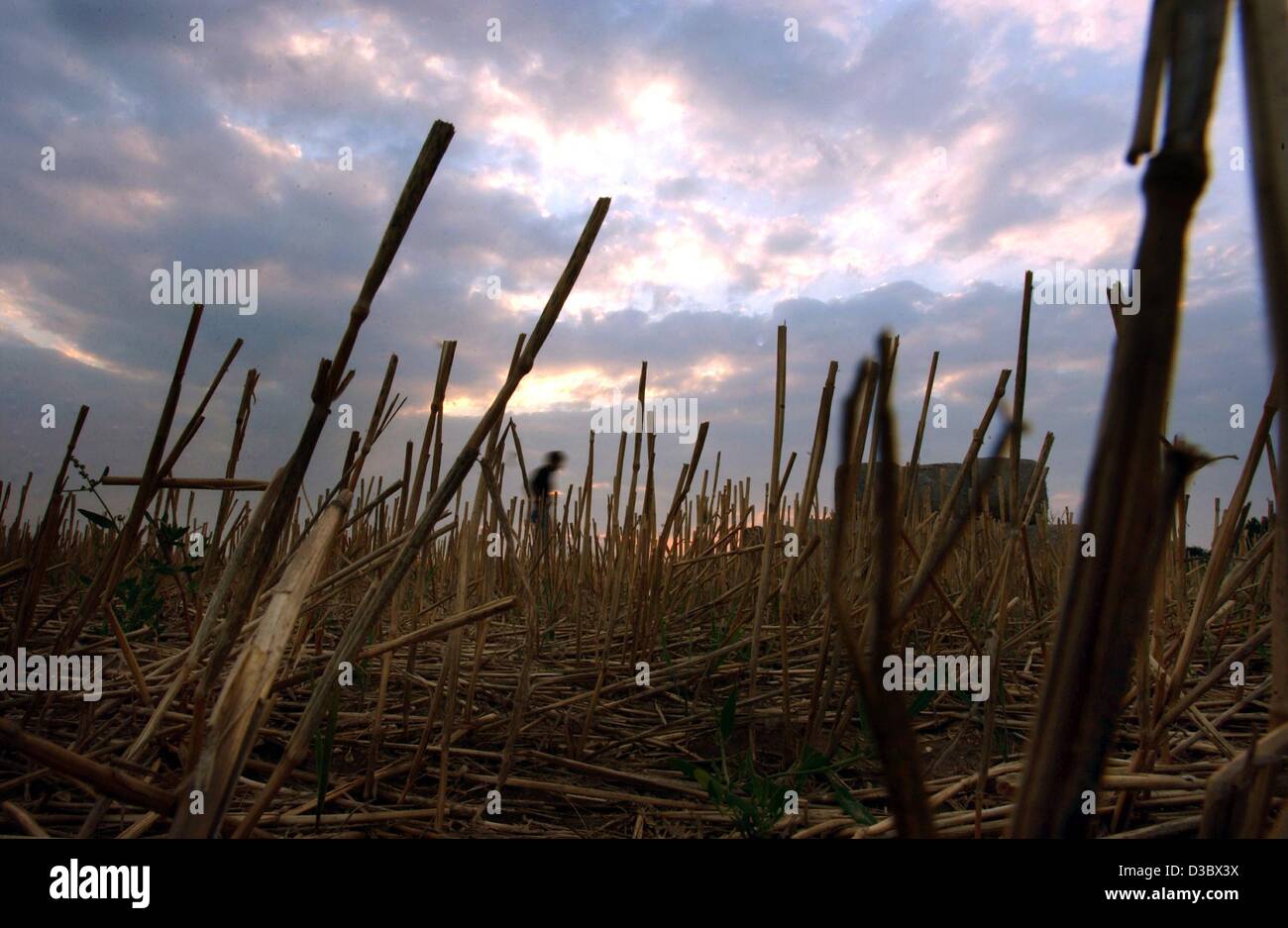 Stroller sun hi-res stock photography and images - Alamy