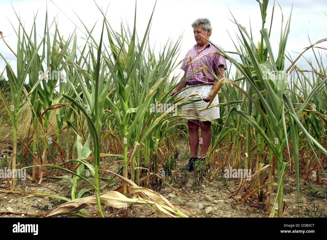 Hensle hi-res stock photography and images - Alamy