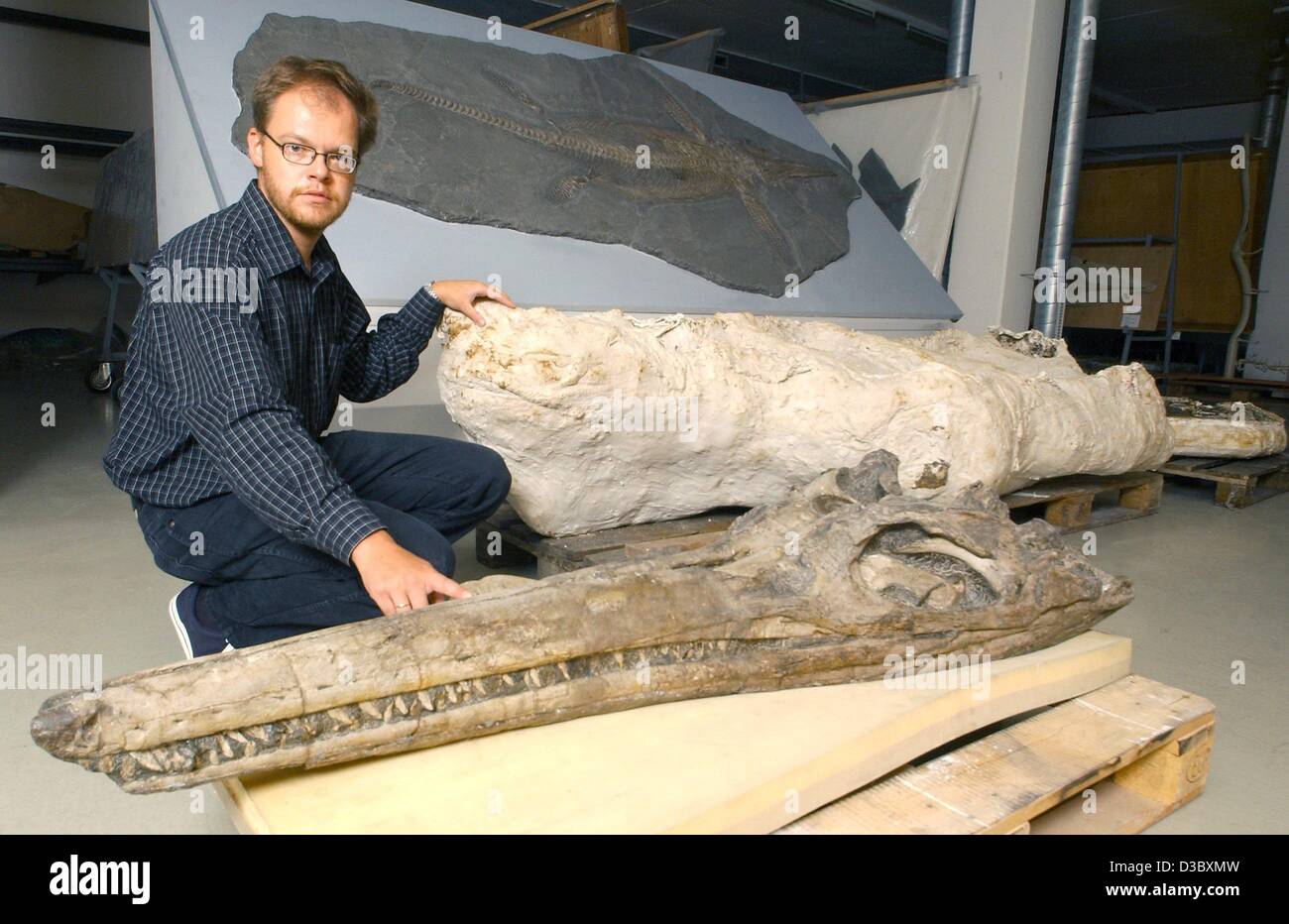 (dpa) - Dinosaur expert and head of excavation Rainer Schoch of the ...