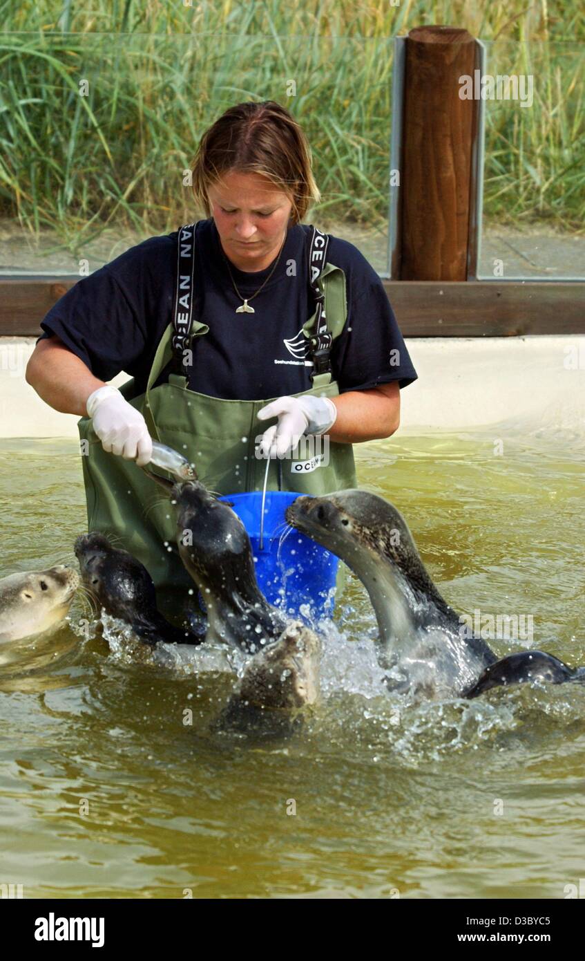 Tanja hi-res stock photography and images - Alamy